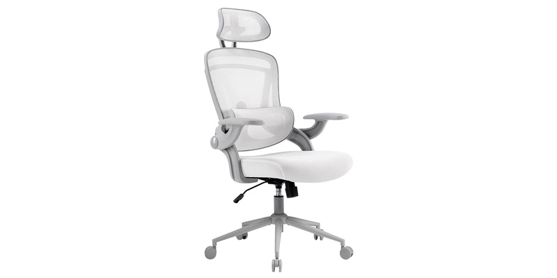 Ergonomic desk chair white store